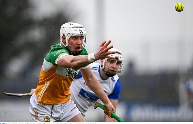 Offaly hurling team announced for clash with Galway as Adam Screeney ...