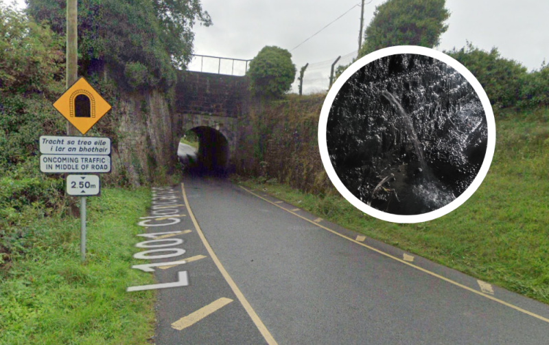 'Very scary' - Fears 232-year-old canal tunnel in Offaly is 'about to ...