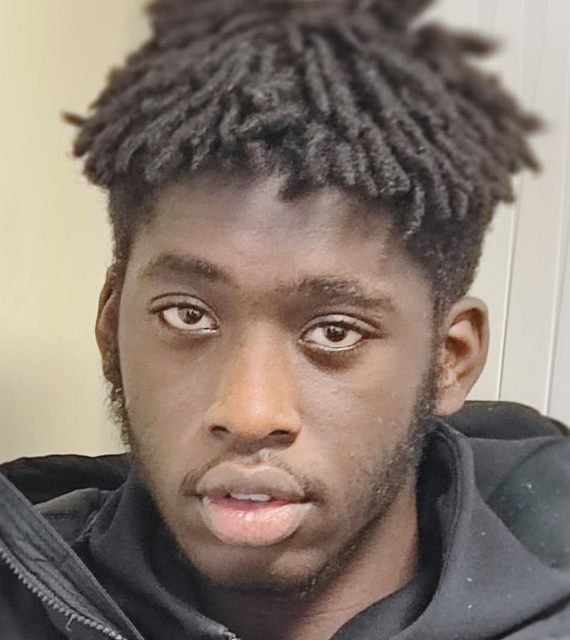 Gardai issue appeal for information on teenager missing in Offaly ...