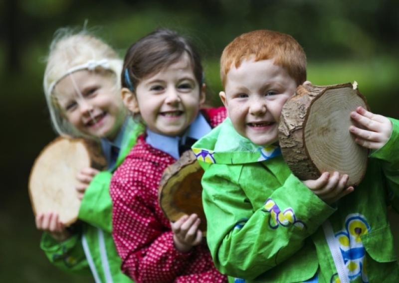 Offaly children celebrate Tree Day - Offaly Live