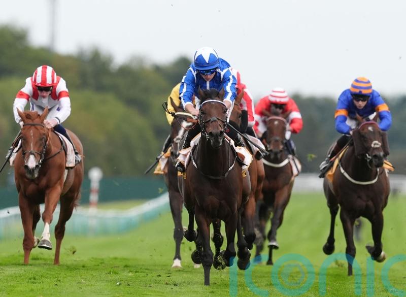 The Reverend pips stablemate to lift Old Borough Cup - Offaly Live