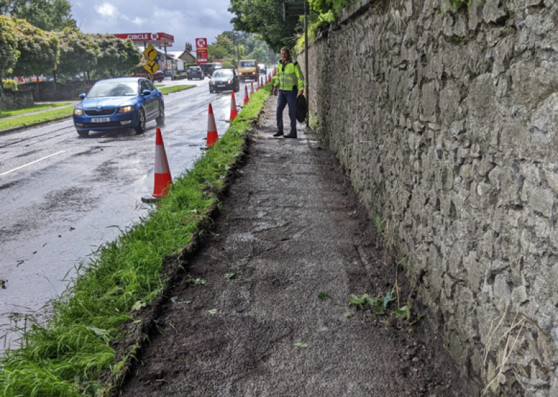 Footpath in Offaly is reclaimed from nature in major clean up - Offaly Live