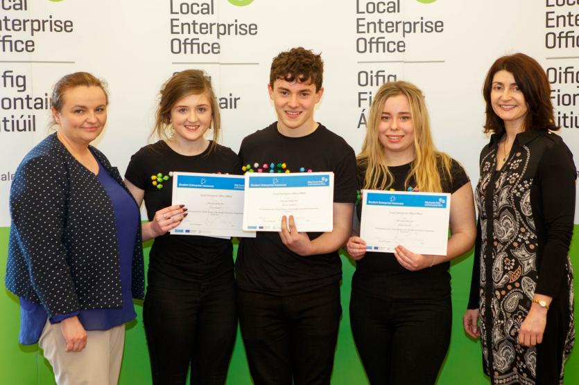 Banagher College scoops first and second at Offaly Student Enterprise ...