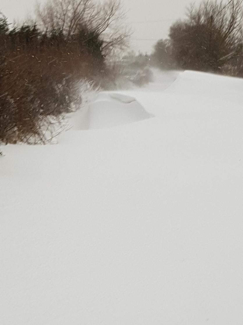 PHOTOS: Incredible photographs of huge snowfall from around Offaly ...