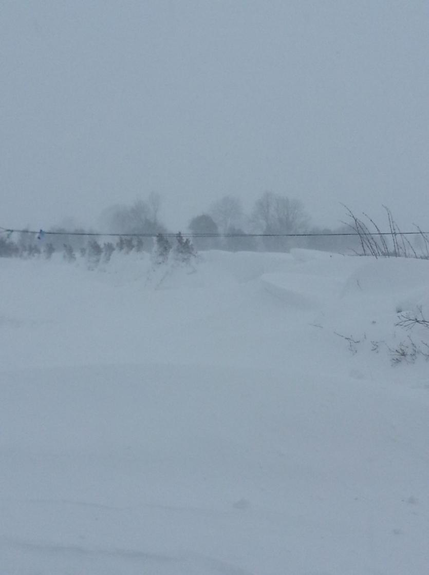 PHOTOS: Incredible photographs of huge snowfall from around Offaly ...