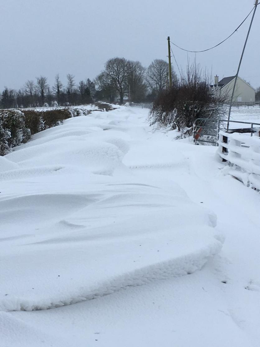 PHOTOS: Incredible photographs of huge snowfall from around Offaly ...
