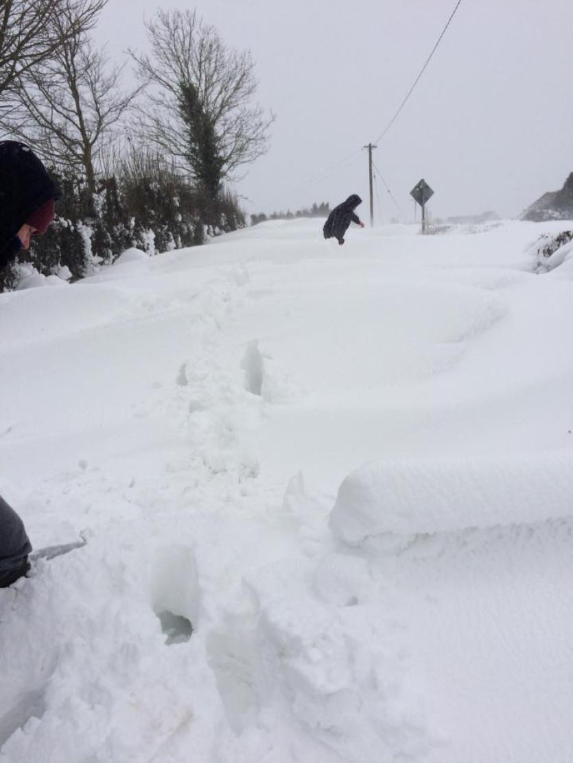PHOTOS: Incredible photographs of huge snowfall from around Offaly ...