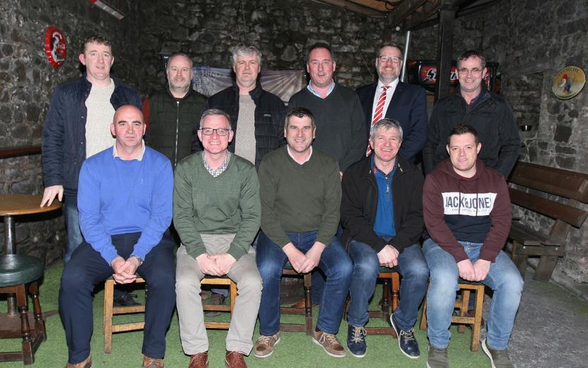 Offaly's 1994 All-Ireland winners to host 'day of celebration' 25 years ...