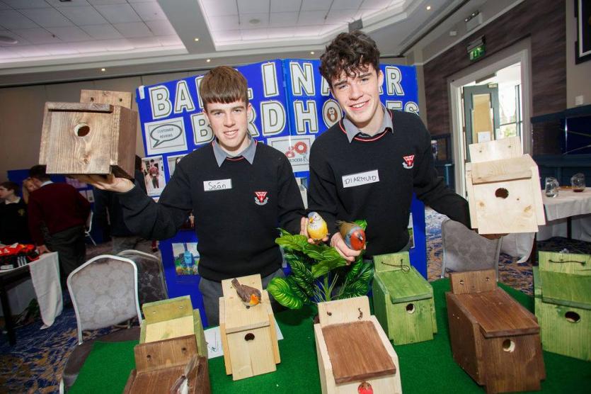 PICTURES: Offaly students impress at Enterprise Awards - Photo 1 of 15 ...