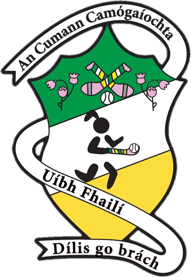 Young designer of new Offaly Camogie crest receives award - Offaly Live