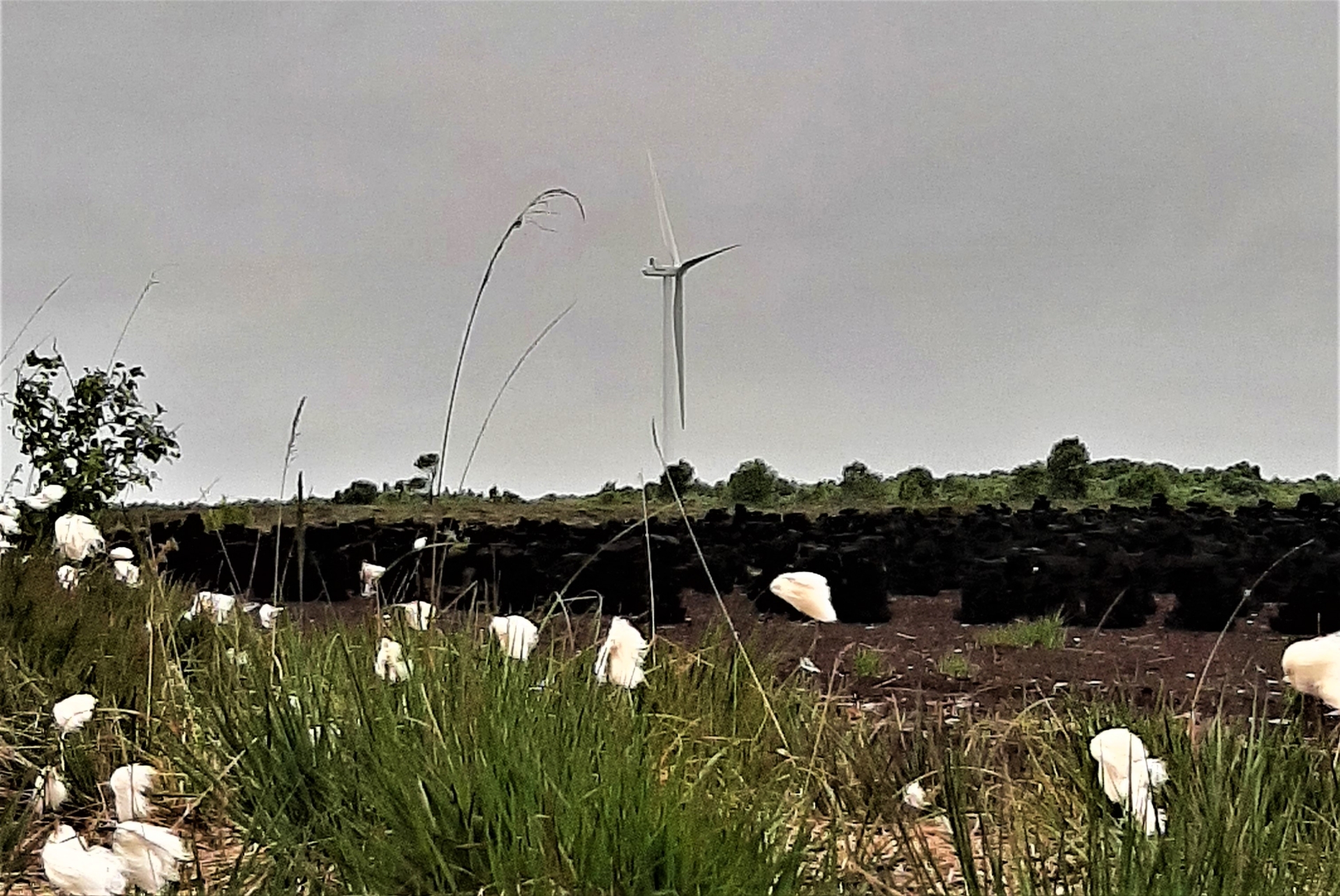 Turbine assembly nearly finished at big Offaly wind farm - Ireland Live