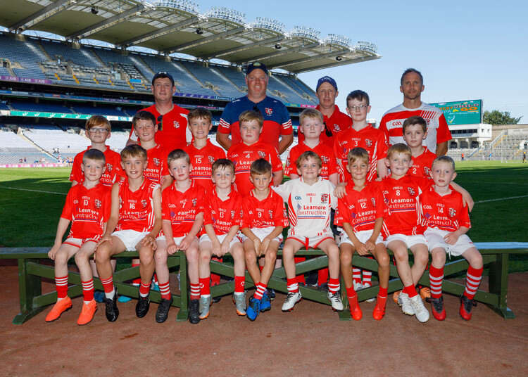 IN PICTURES: Young players from Offaly take to the field for incredible ...
