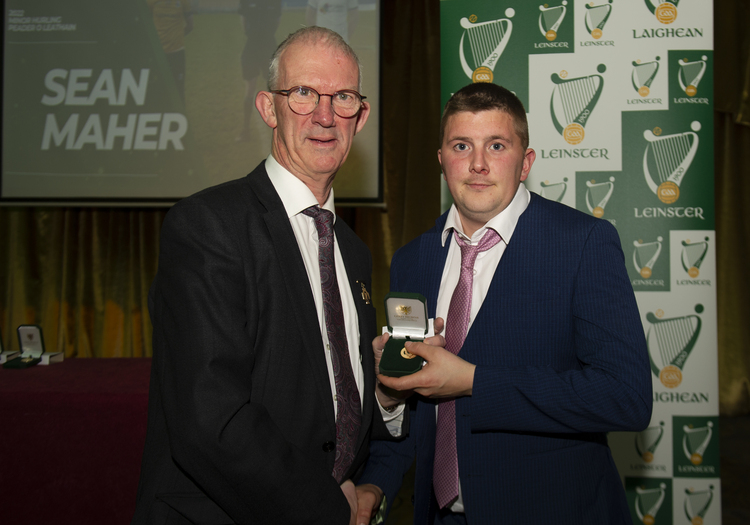 IN PICTURES: Outstanding Offaly referees honoured at Leinster GAA ...