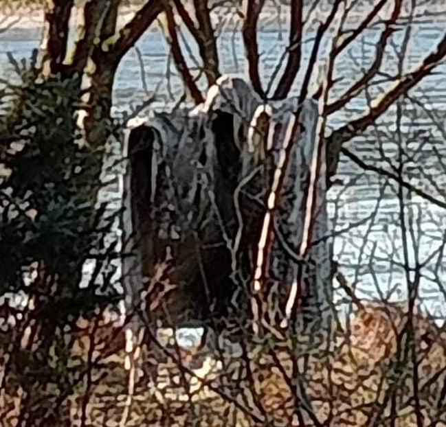 What is this strange figure lurking in the trees at popular spot in ...