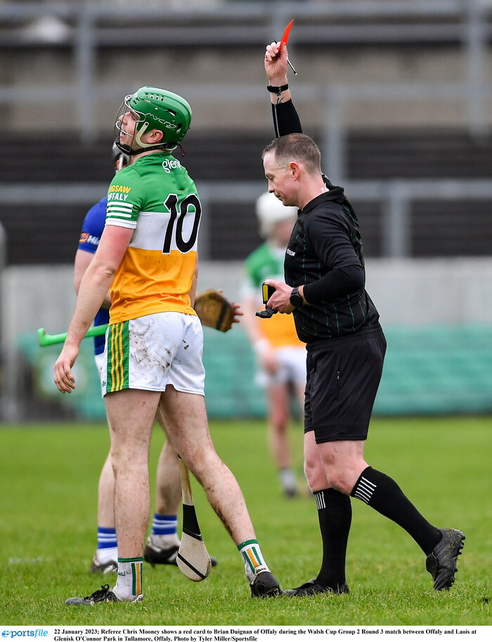 IN PICTURES: Offaly hurlers pull off dramatic comeback to overcome ...