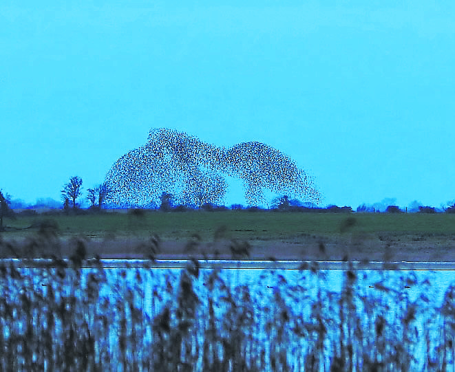 Tullamore photographer captures picture of absolutely spectacular ...