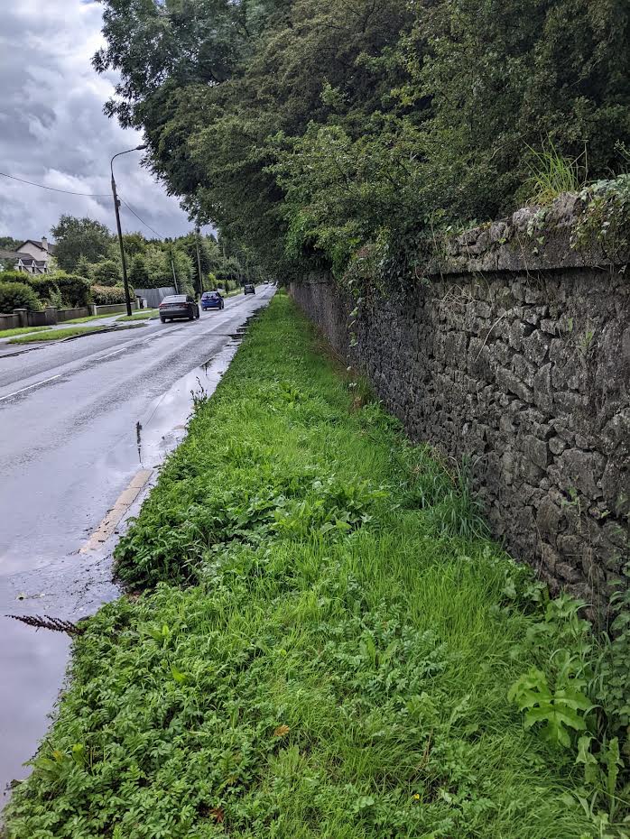 Footpath in Tullamore is reclaimed from nature in major clean up ...