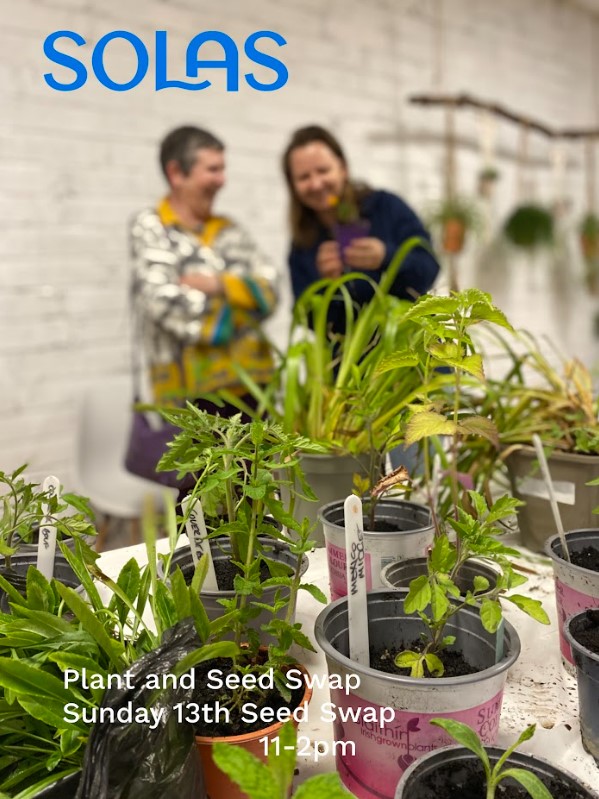 SOLAS: Free Plant and Seed Swap Event & Prosecco Day - Kildare Now