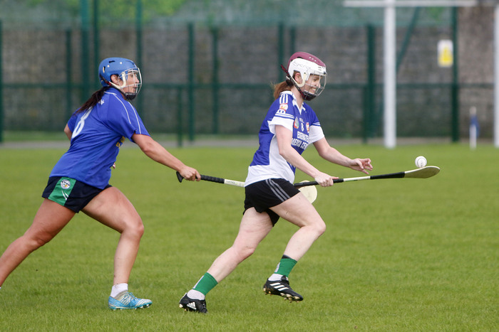 IN PICTURES: Tullamore Camogie Club celebrate 50th birthday in style ...