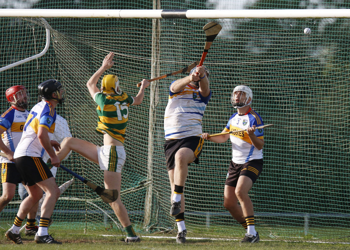 PICTURE SPECIAL: Great scenes of celebration as Ballinamere capture ...