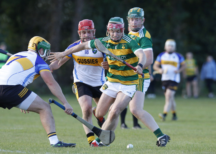 PICTURE SPECIAL: Great scenes of celebration as Ballinamere capture ...