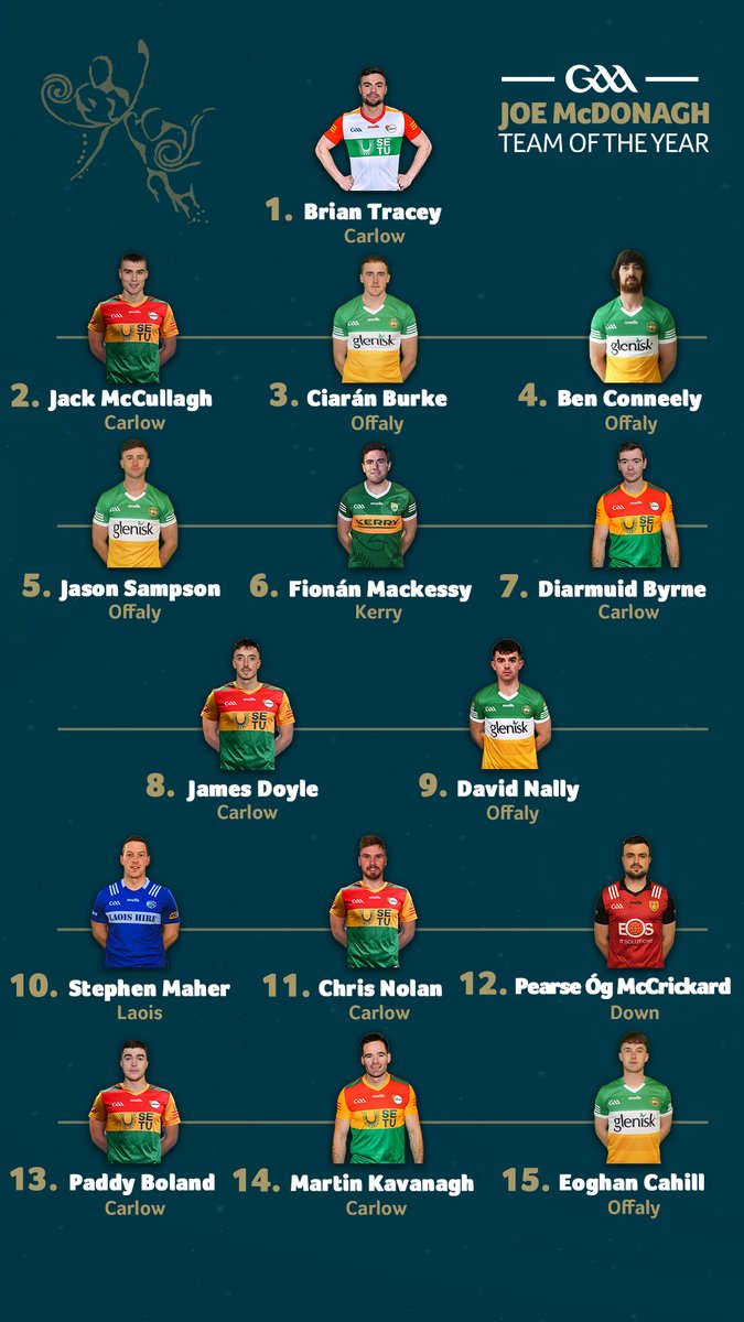 Five Offaly players selected on Joe McDonagh Cup Team of the Year ...