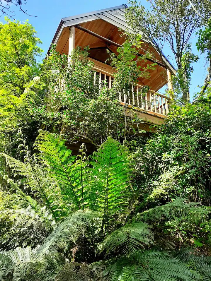 PICTURES: Unique treehouse accommodation in Ireland offers a tranquil ...
