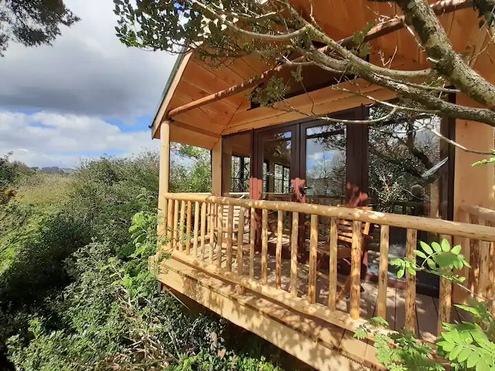 PICTURES: Unique treehouse accommodation in Ireland offers a tranquil ...