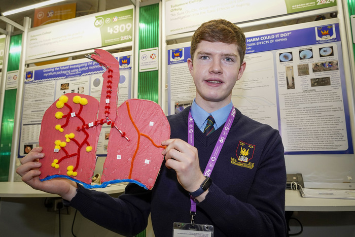 IN PICTURES: Offaly students among the winners at BT Young Scientist ...