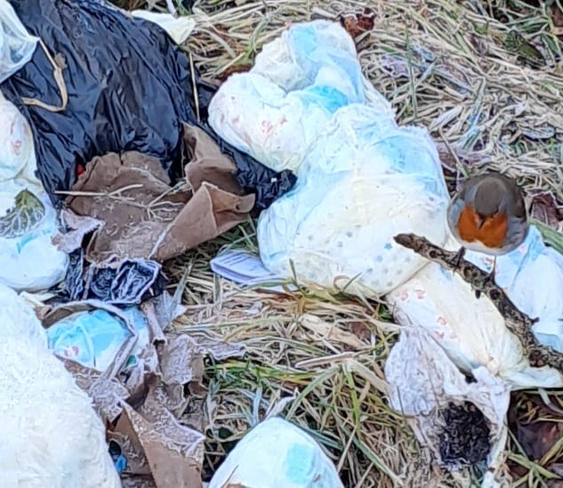 DISGUSTING: Soiled nappies and household items dumped at scenic tourist ...