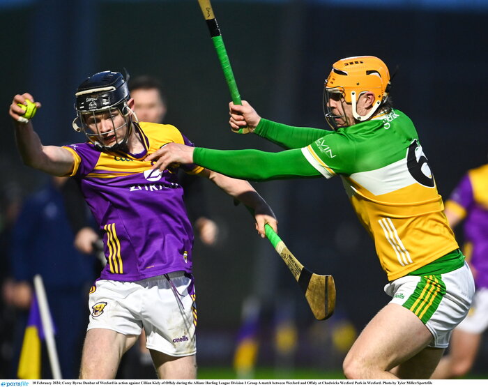 PICTURE SPECIAL: Battling Offaly hurlers earn deserved point away to ...