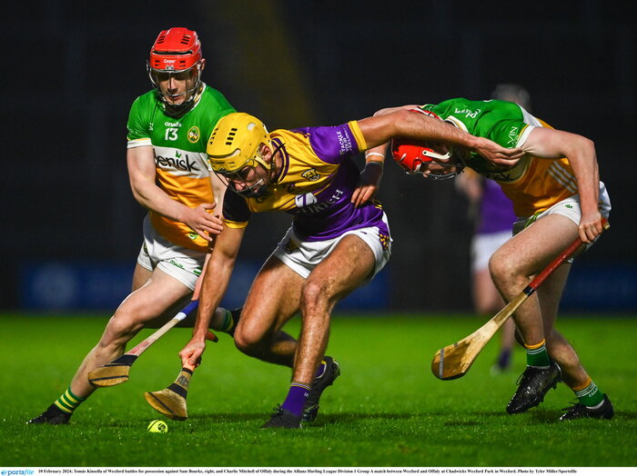 PICTURE SPECIAL: Battling Offaly hurlers earn deserved point away to ...