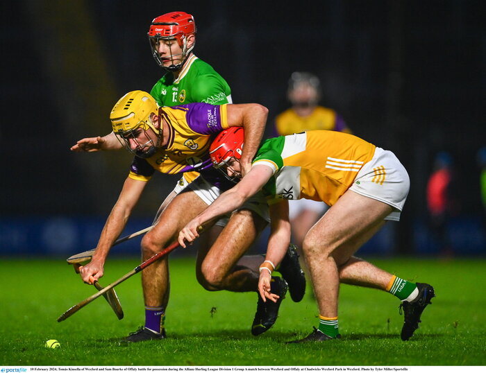 PICTURE SPECIAL: Battling Offaly hurlers earn deserved point away to ...
