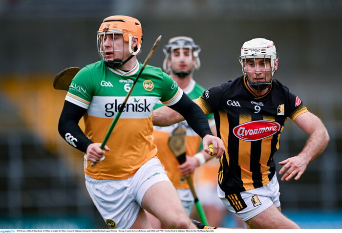 PICTURE SPECIAL: Battling Offaly put in strong performance against ...