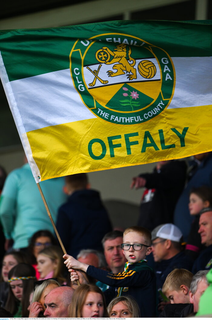 BIG PICTURE SPECIAL: Incredible scenes as Offaly U-20 hurler defeat ...