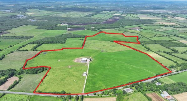 Large and 'highly productive farm' in Offaly set to go up for auction ...