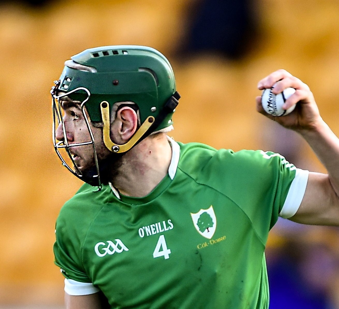 REVEALED: Introducing our Offaly Senior Hurling Championship Team of ...