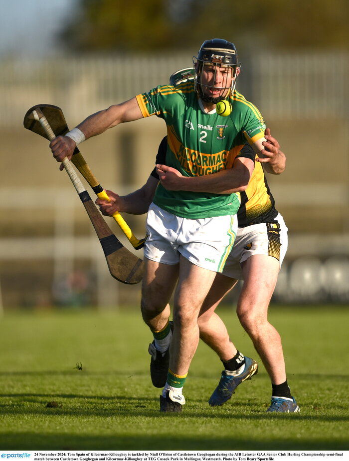 IN PICTURES: Delight for Kilcormac Killoughey as they reach Leinster ...