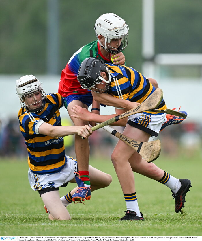 IN PICTURES: Young Offaly hurlers perform well in Division 1 of ...
